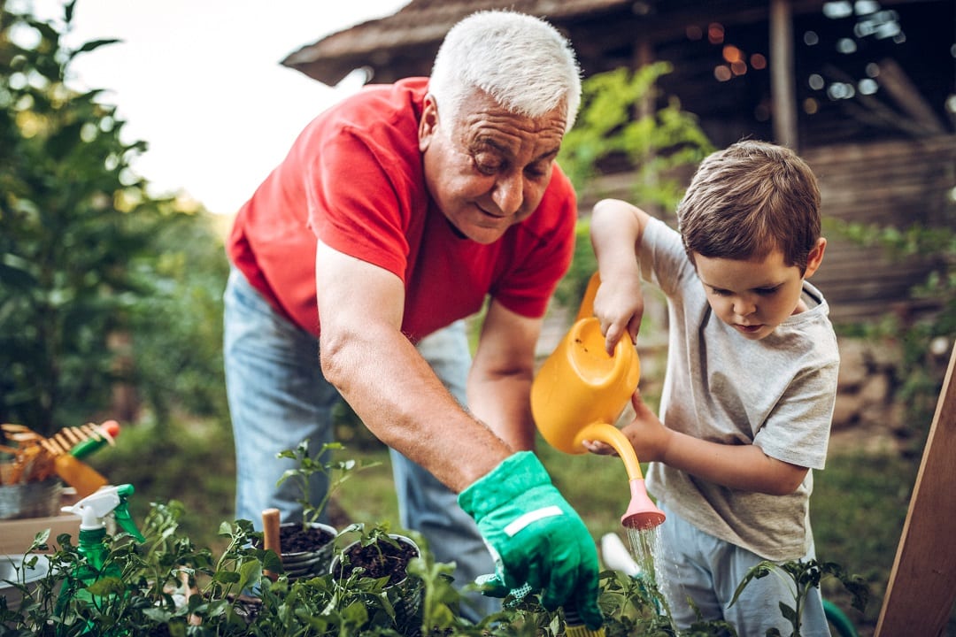 Gardening and people living with dementia | Forward with Dementia